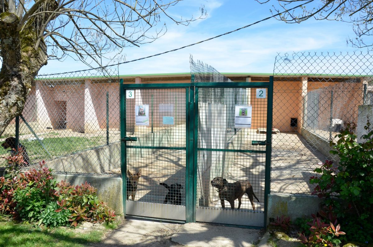 DPA - Refuge de Thiernay - Défense de l'animal