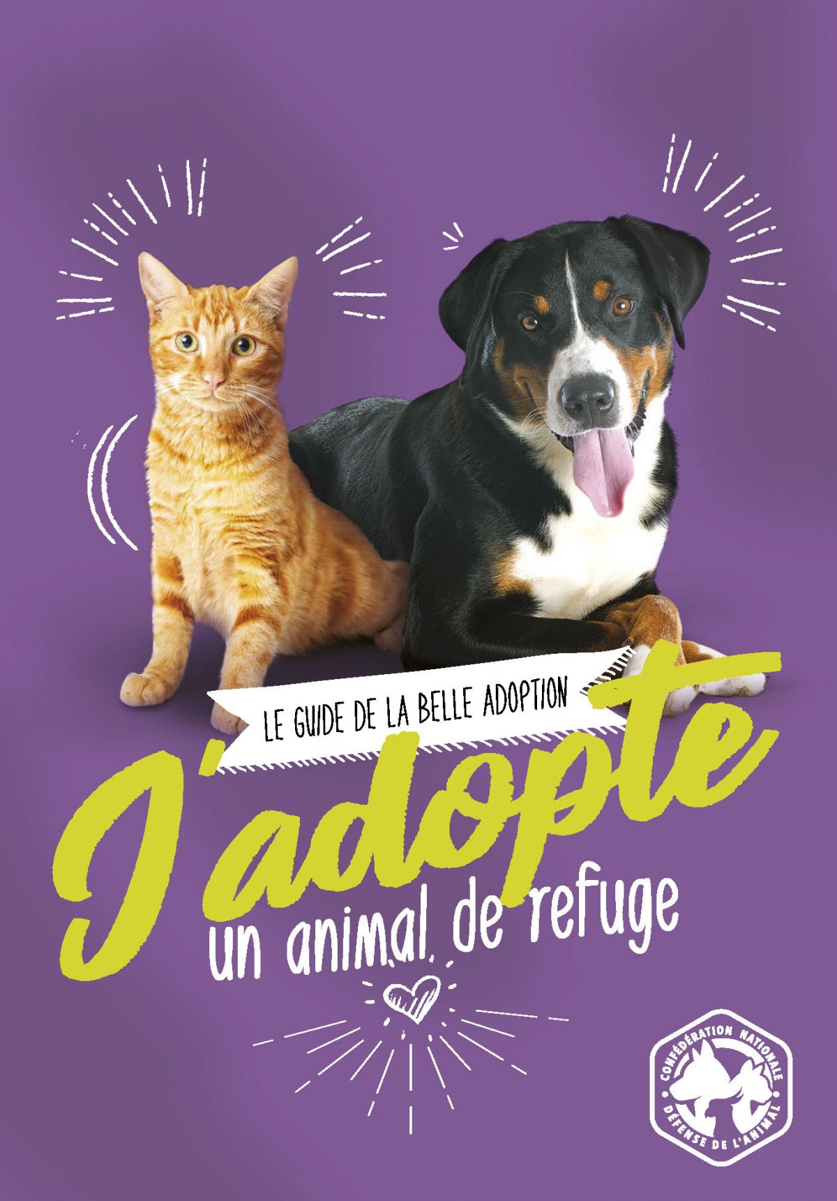 Que Faut-Il Savoir Sur L’Adoption Des Animaux – FYARE